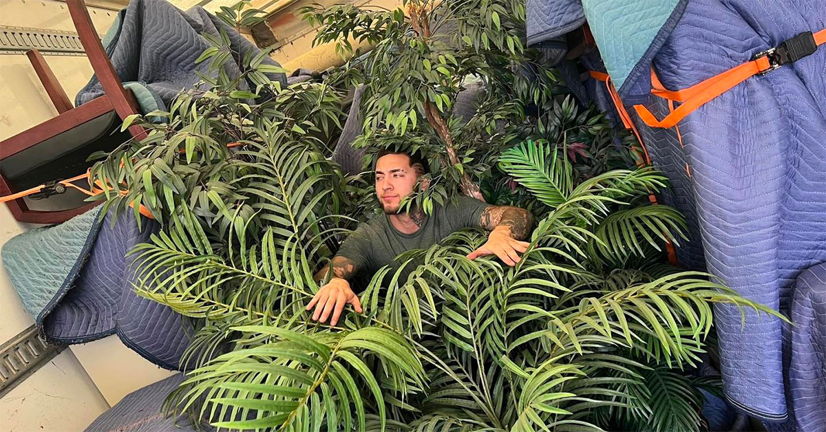 Tips for Moving Your Plants - Little Guys Movers